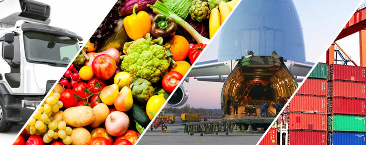 Perishable Goods Transportation Logistics Keeping perishable goods at ...